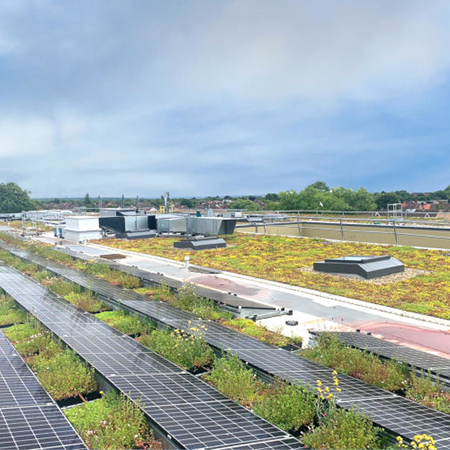 M-Trays® Modular Green Roof System (Wallbarn)