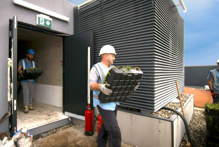 M-Trays® Modular Green Roof System (Wallbarn)