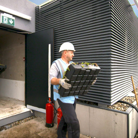 M-Trays® Modular Green Roof System (Wallbarn)