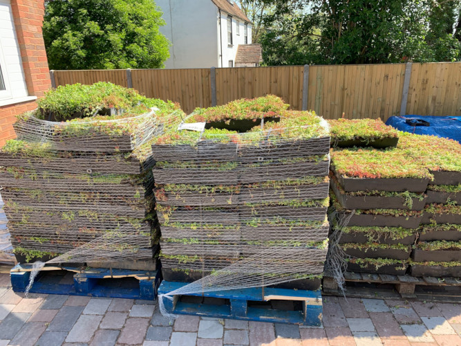 M-Trays® Modular Green Roof System (Wallbarn)