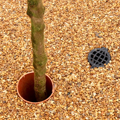 RonaDeck Tree Pit System enhances building project at Middlesbrough School