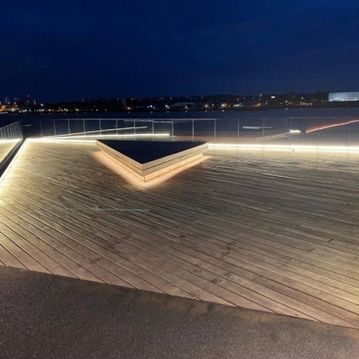 Pure Vista’s Invisible Crowd Protection