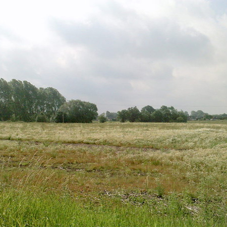 Advantages & disadvantages of Greenfield & Brownfield sites