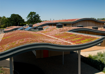 RoofDek structural roof decking for Maplefields School