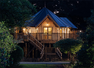 Luxury Tree House Roofing in Cornwall provided by SIG Design & Technology