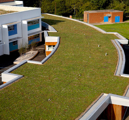 Oasis Academy Immingham