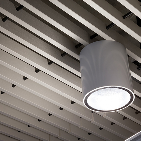University library features dramatic ceiling