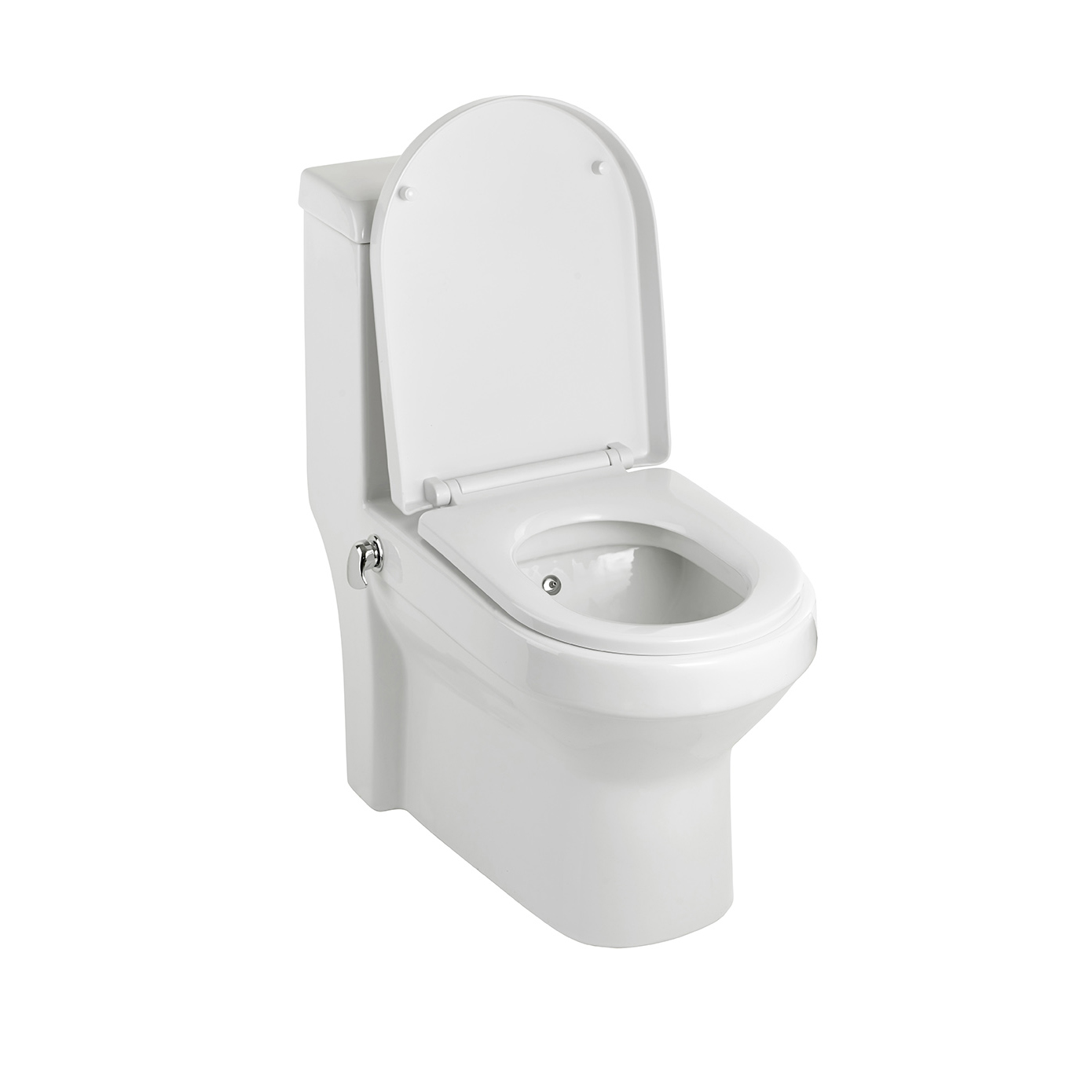 Turkish Style Toilet with Integral Bidet Spray (WuduMate)
