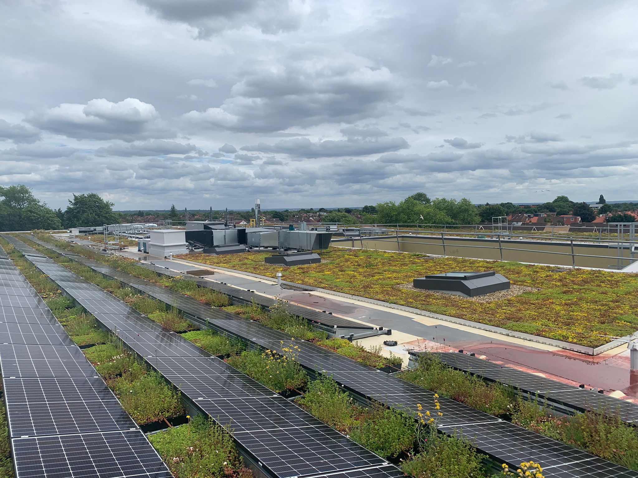 M-Trays® Modular Green Roof System (Wallbarn)
